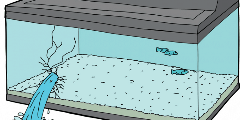 How to Fix a Leaking Aquarium without Draining? - Aquarium Sphere